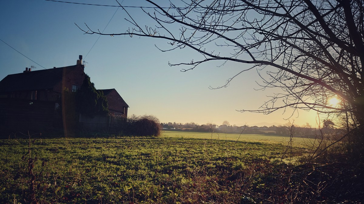 Claines Fields – Pictures of Subjects